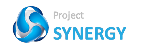 The Synergy project: is your artificial intelligence roadmap ready ...